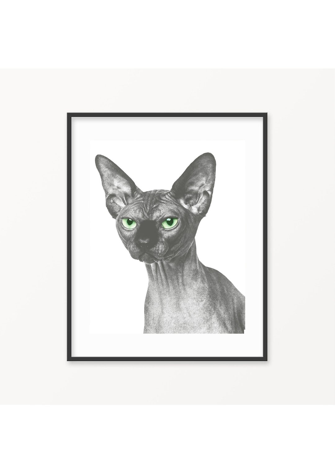 Sphynx Cat Grey Wall Art, Decor Prints, Angry Sphynx Cat, Green Eyes ...