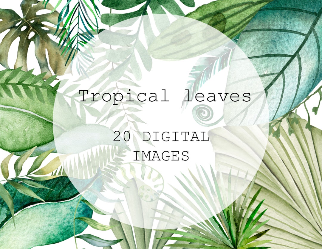 20 Tropical Leaf Pattern Overlays Digital Graphics in PNG Format ...