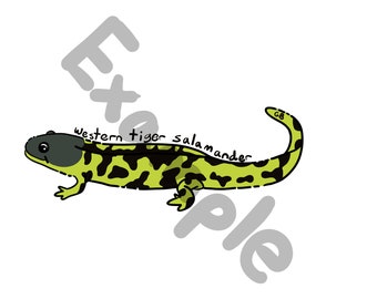 Two-lined Salamander Vinyl Decal - Etsy