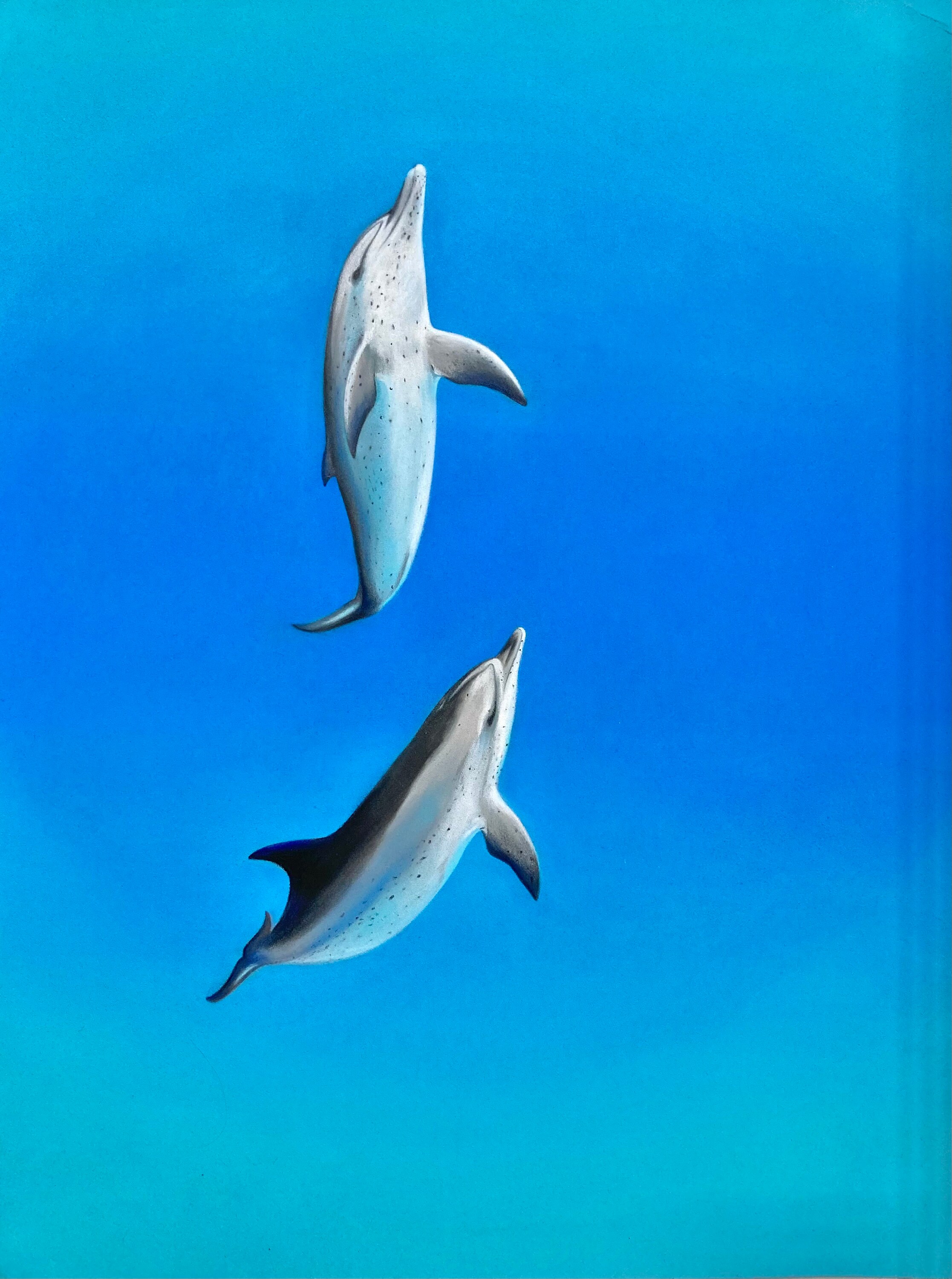 Dolphins Original Art Pastel Crayon Painting Dolphins Playing - Etsy