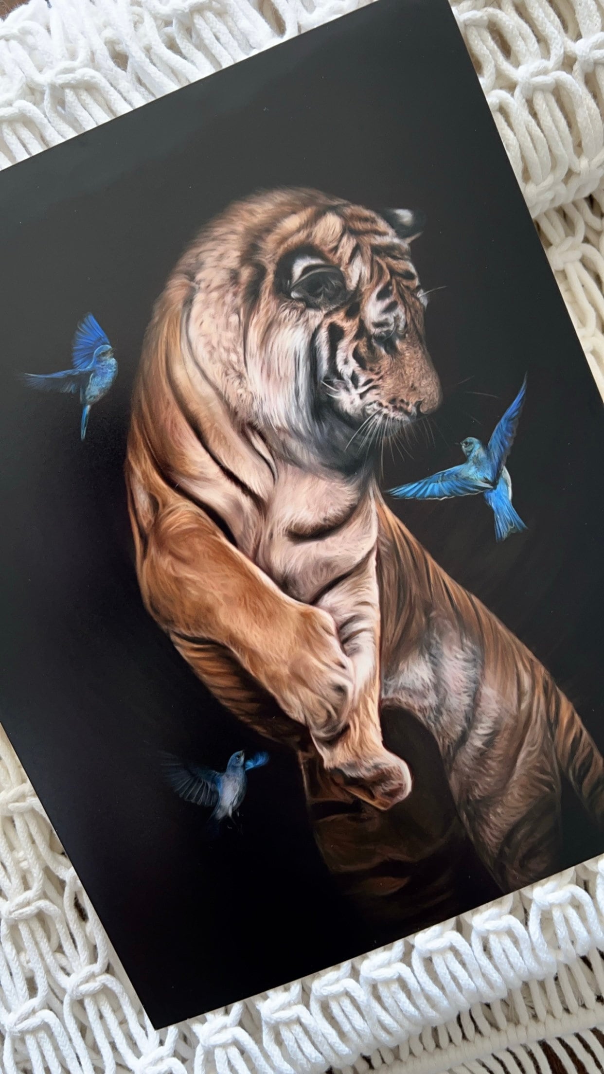 Tiger and Blue Birds- Tiger Animal Art Print With Birds, Realism ...