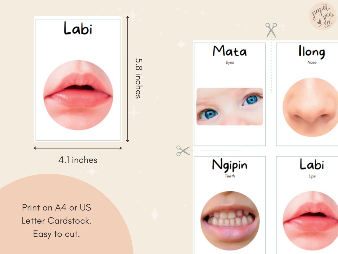 Body Parts TAGALOG Flash Cards With English Translation Bilingual Cards ...