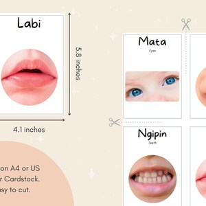 Body Parts TAGALOG Flash Cards With English Translation | Bilingual ...