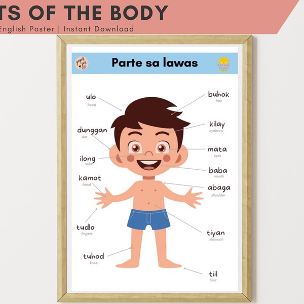 Body Parts Poster English - Etsy