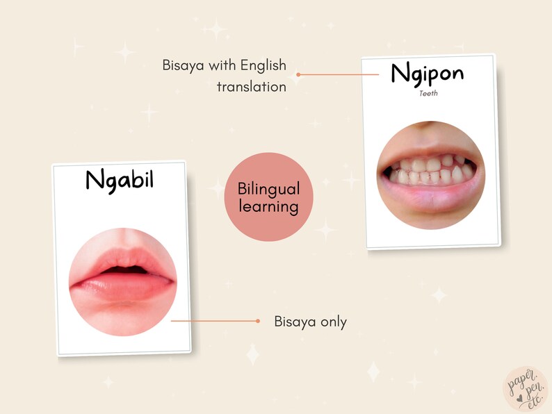 Body Parts BISAYA Flash Cards With English Translation | Bilingual ...