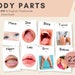 Body Parts TAGALOG Flash Cards With English Translation | Bilingual ...
