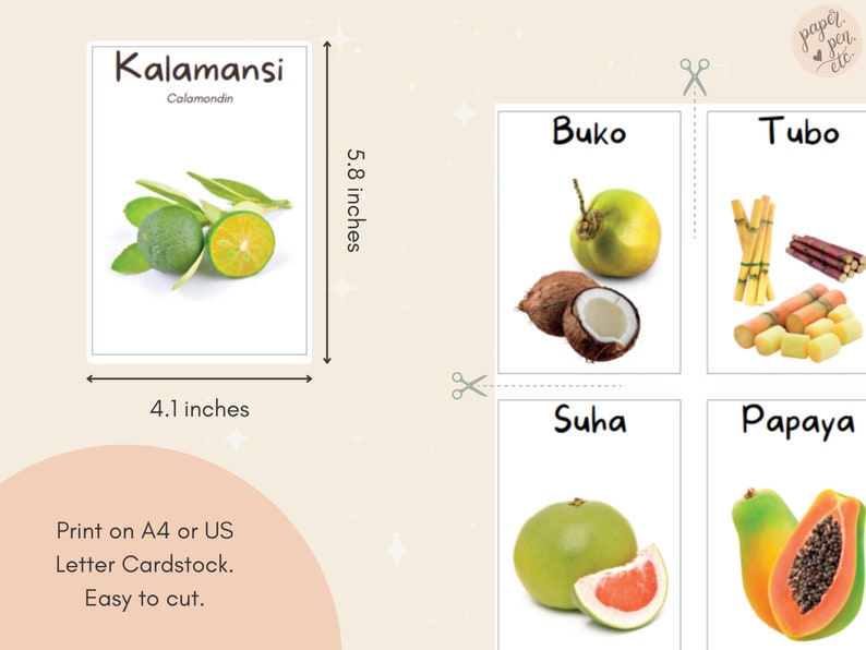 Fruits TAGALOG Flash Cards With English Translation | Bilingual Cards ...