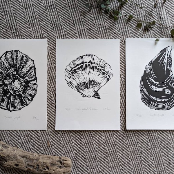 Limpet Drawing - Etsy UK
