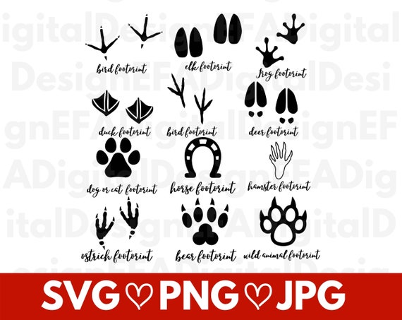 Animal Footprints Clip Art Pig Footprints Clipart 20 Free Cliparts