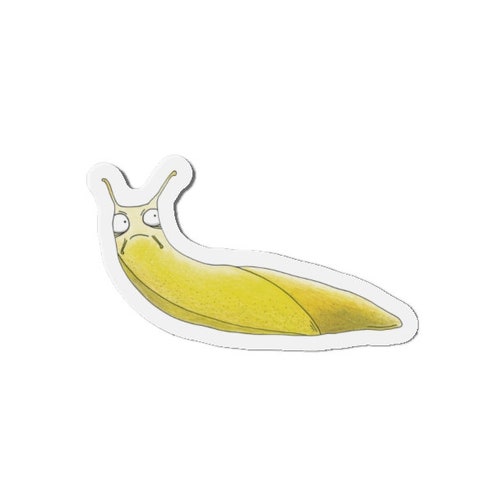 Banana Slug and Leopard Slug Sticker Pack 2 Vinyl Stickers - Etsy