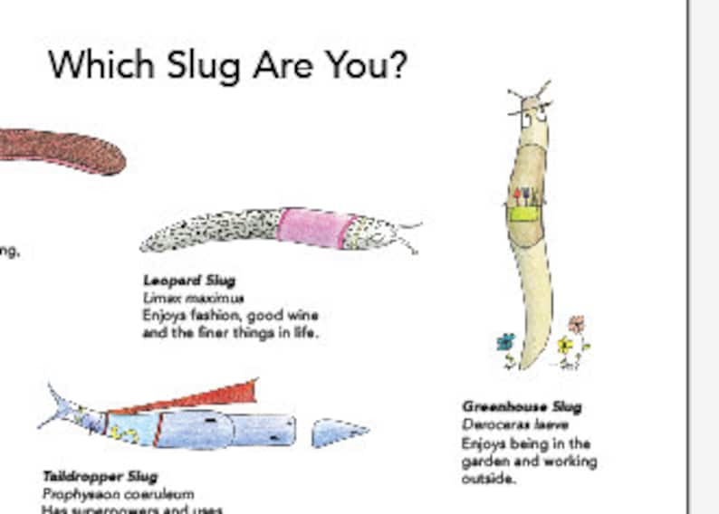 Slug Poster - Which Slug Are You? - Etsy