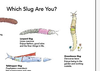 Slug Poster - Which Slug Are You? - Etsy