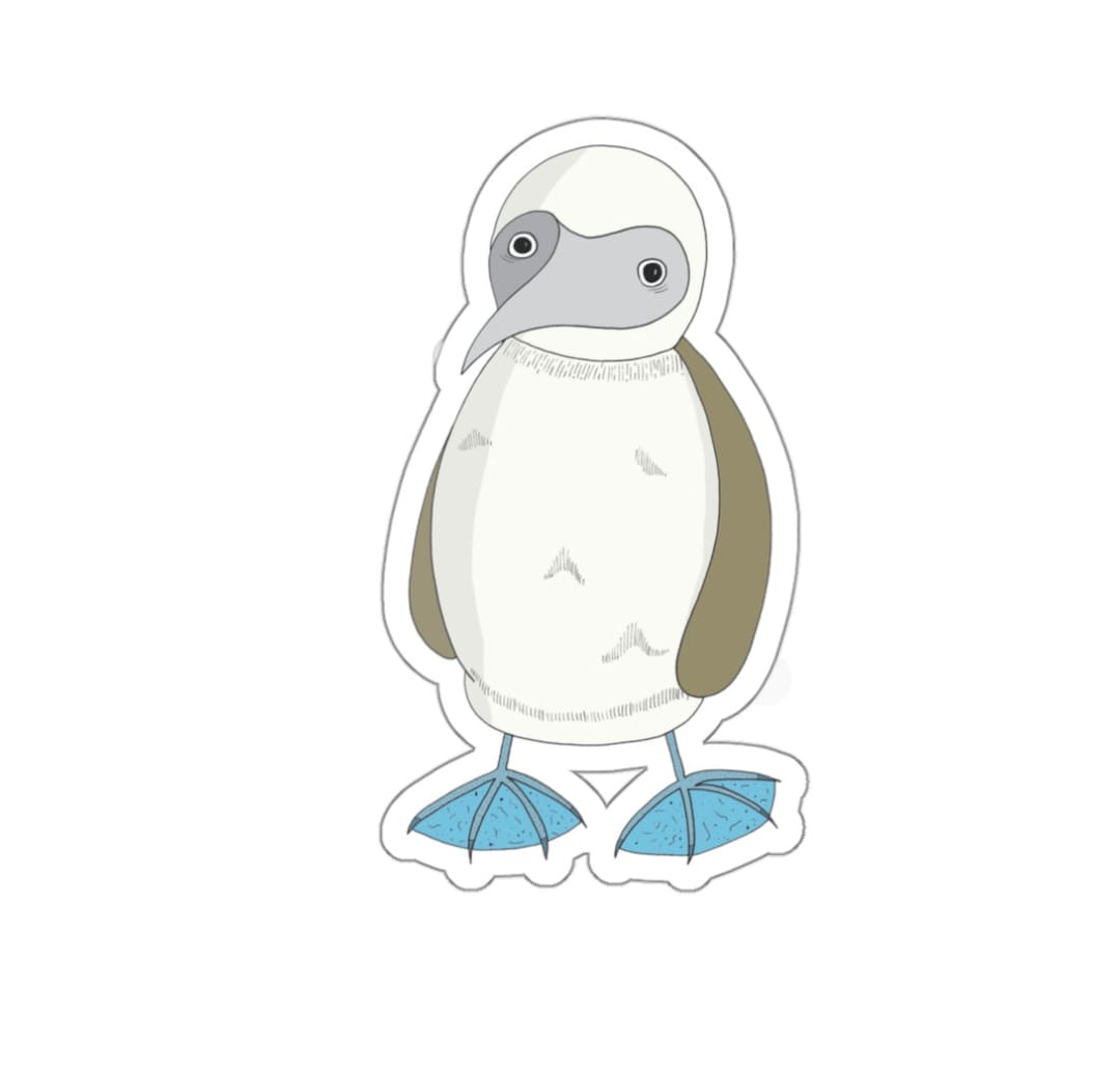 Blue-footed Booby Sticker - Weatherproof - Etsy