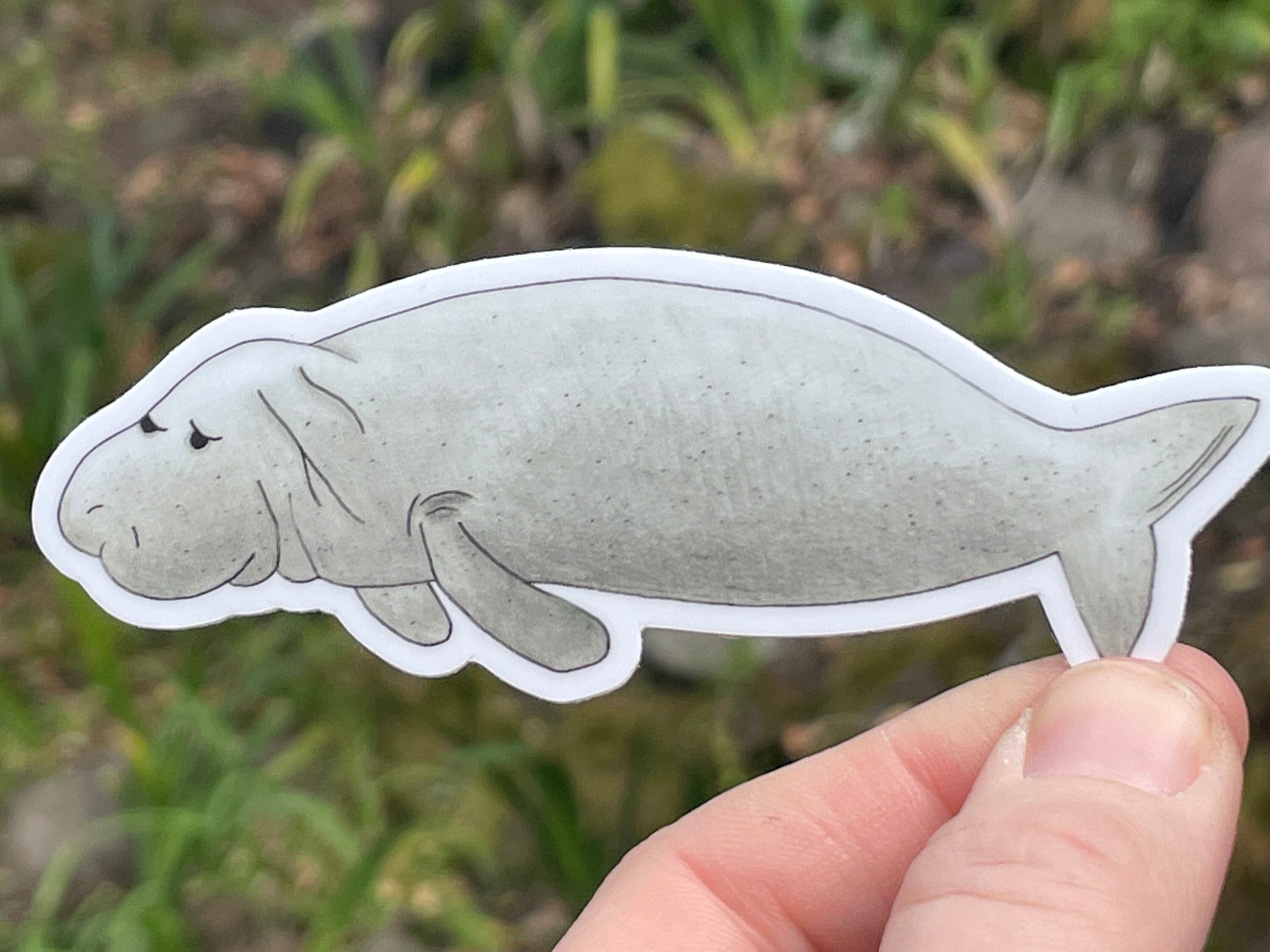 Dugong Manatee Sticker - Weatherproof - Etsy