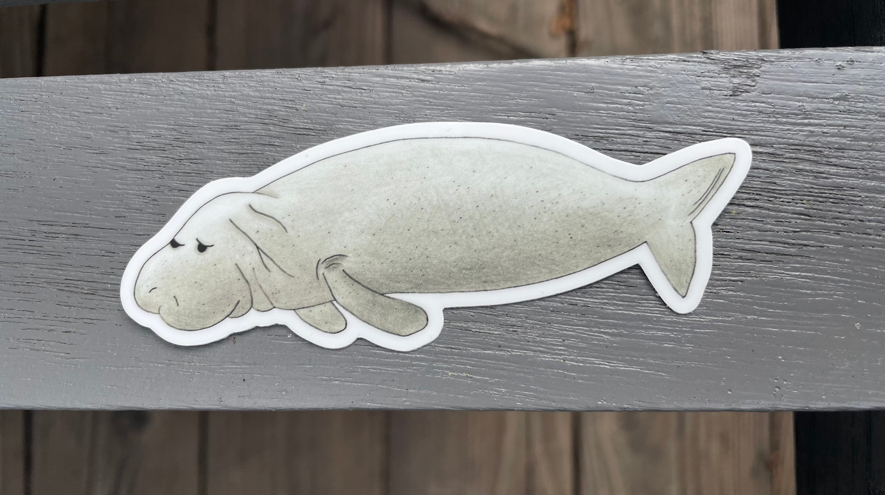 Dugong Manatee Sticker - Weatherproof - Etsy
