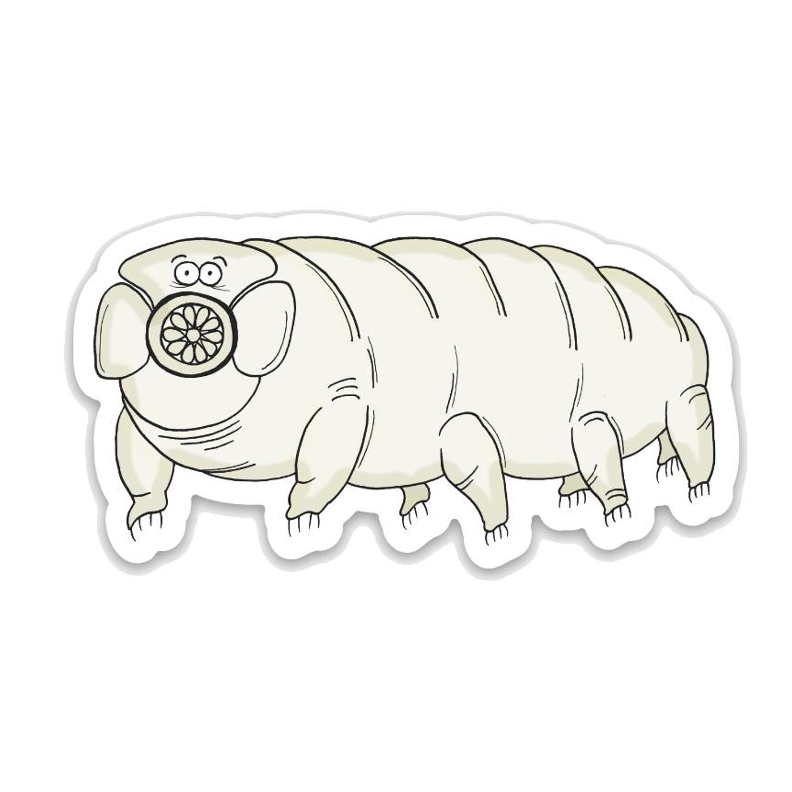 Tardigrade Sticker - Weatherproof - Etsy