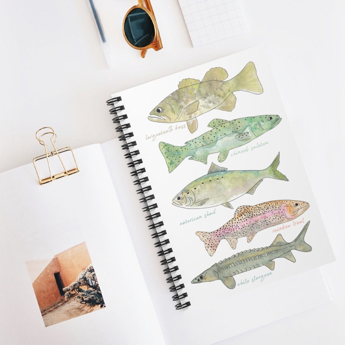 Five Freshwater Fish - Spiral Notebook -118 Pages - Etsy