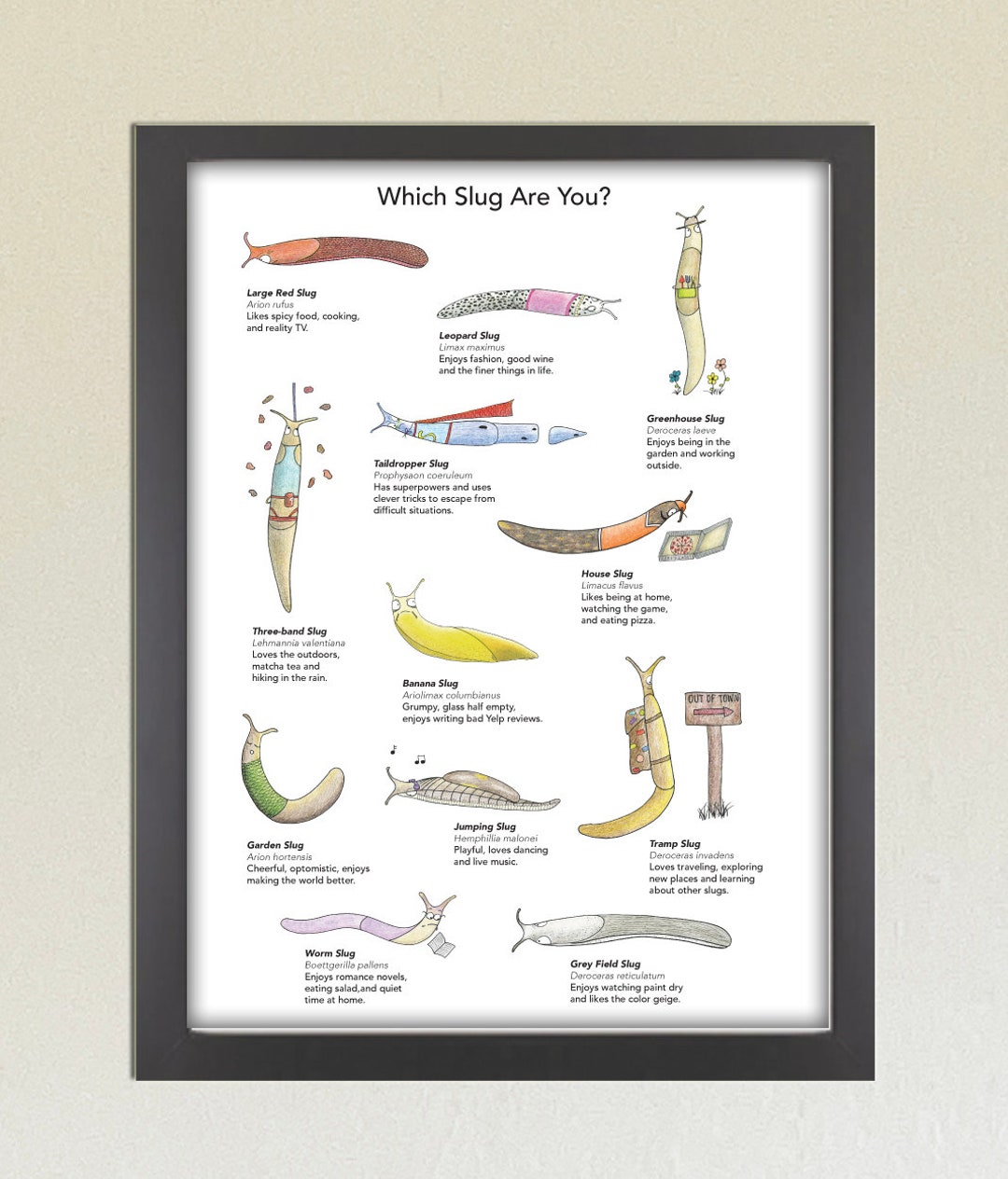 Slug Poster - Which Slug Are You? - Etsy