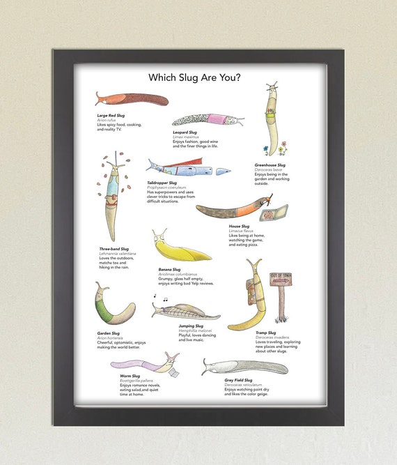 Slug Poster Which Slug Are You | Etsy