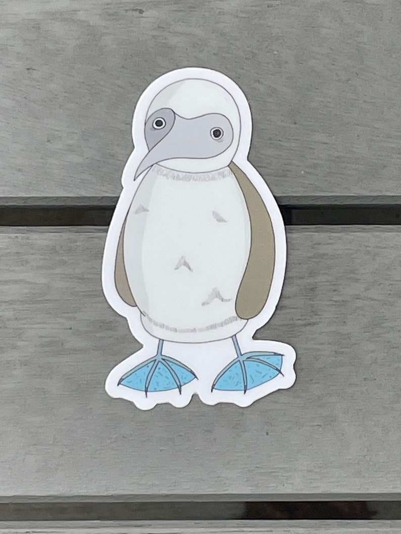 Blue-footed Booby Sticker - Weatherproof - Etsy