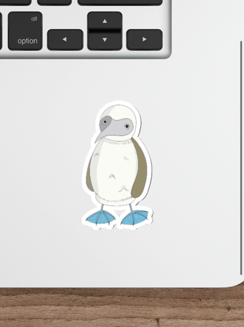 Blue-footed Booby Sticker - Weatherproof - Etsy