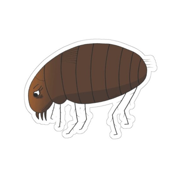 Flea Sticker Weatherproof - Etsy