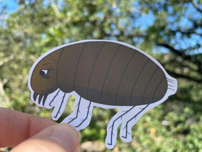 Flea Sticker, Weatherproof - Etsy