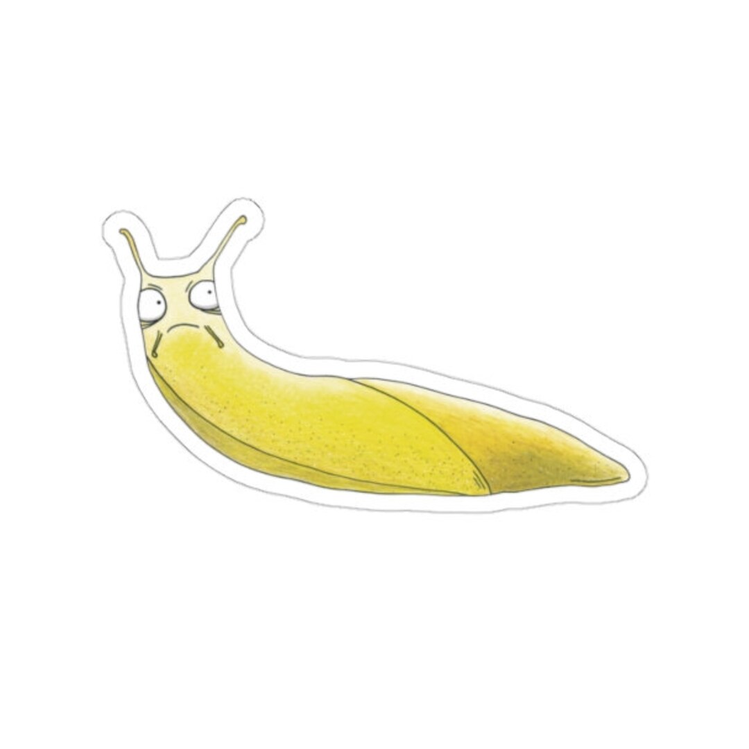 Banana Slug Sticker - 4” Wide - High Quality Sticker - Etsy