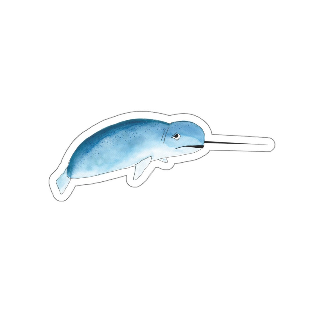 Narwhal Stickers - Etsy
