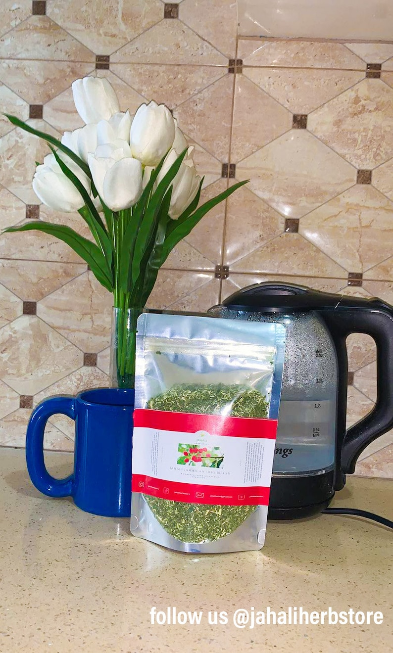 Jamaican Dog Blood Bush (rivinia Humilis) in Coarse Powder - Etsy
