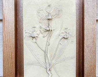 Plaster Botanical Bas Relief Artwork - Etsy