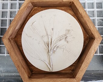 Plaster Botanical Bas Relief Artwork - Etsy