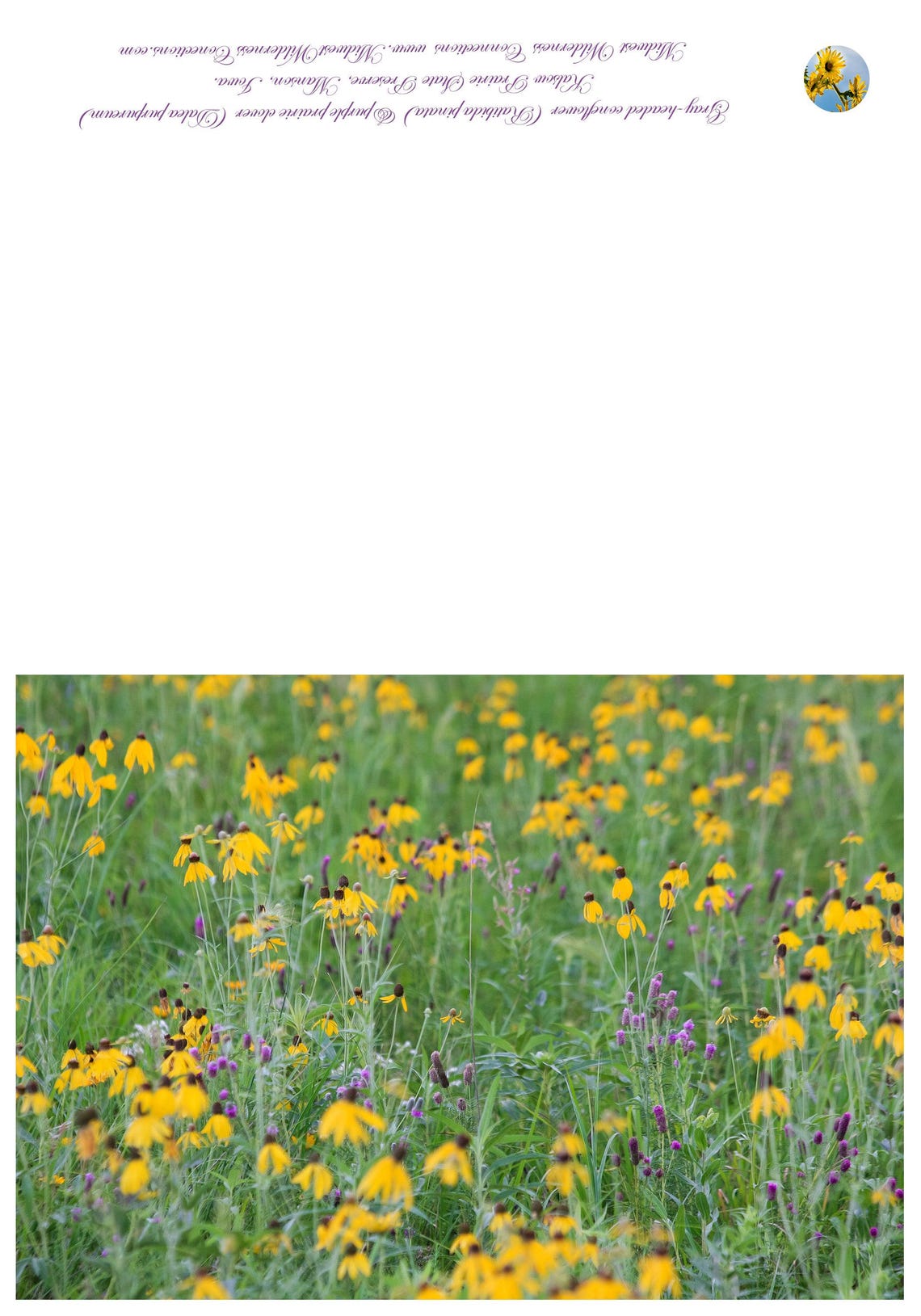 Kalsow Prairie State Preserve Greeting Card IMG_2513 - Etsy
