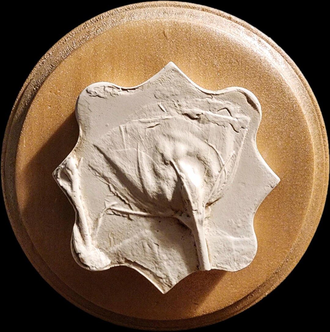 Plaster Botanical Bas Relief Artwork - Etsy