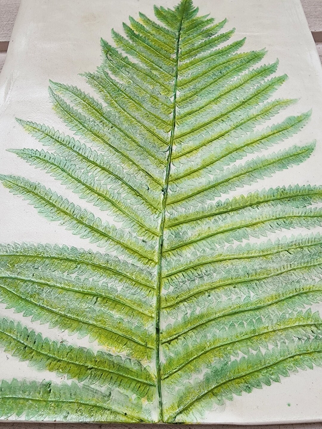 Plaster Botanical Bas Relief Artwork - Etsy