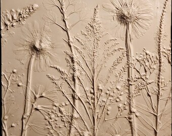Botanical Plaster Cast, Cow Parsley Bas Relief, Floral Hangings ...
