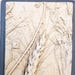 Plaster Botanical Bas Relief Artwork - Etsy