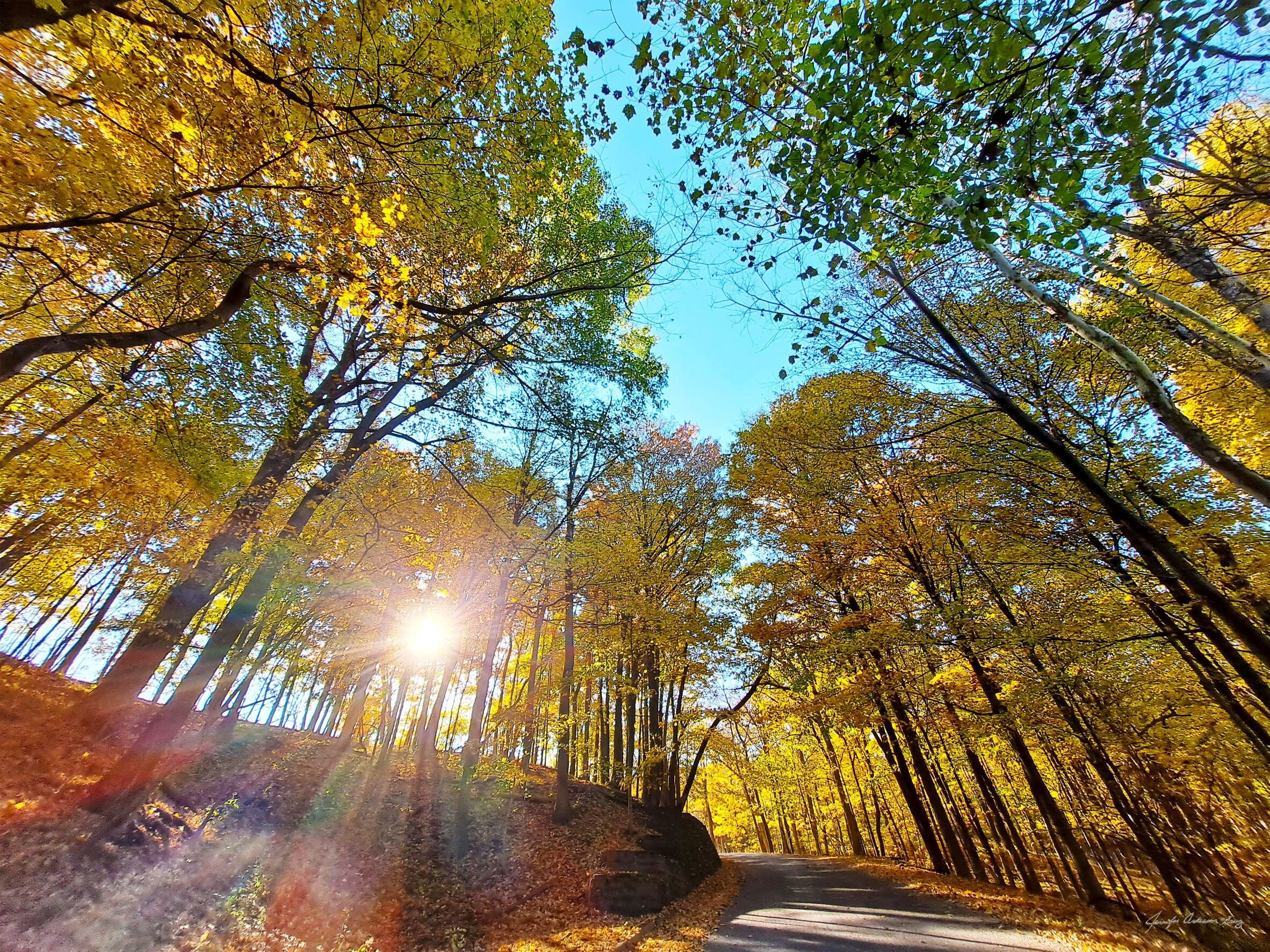 Kickapoo State Recreation Area Photo Print IMG_144824 - Etsy