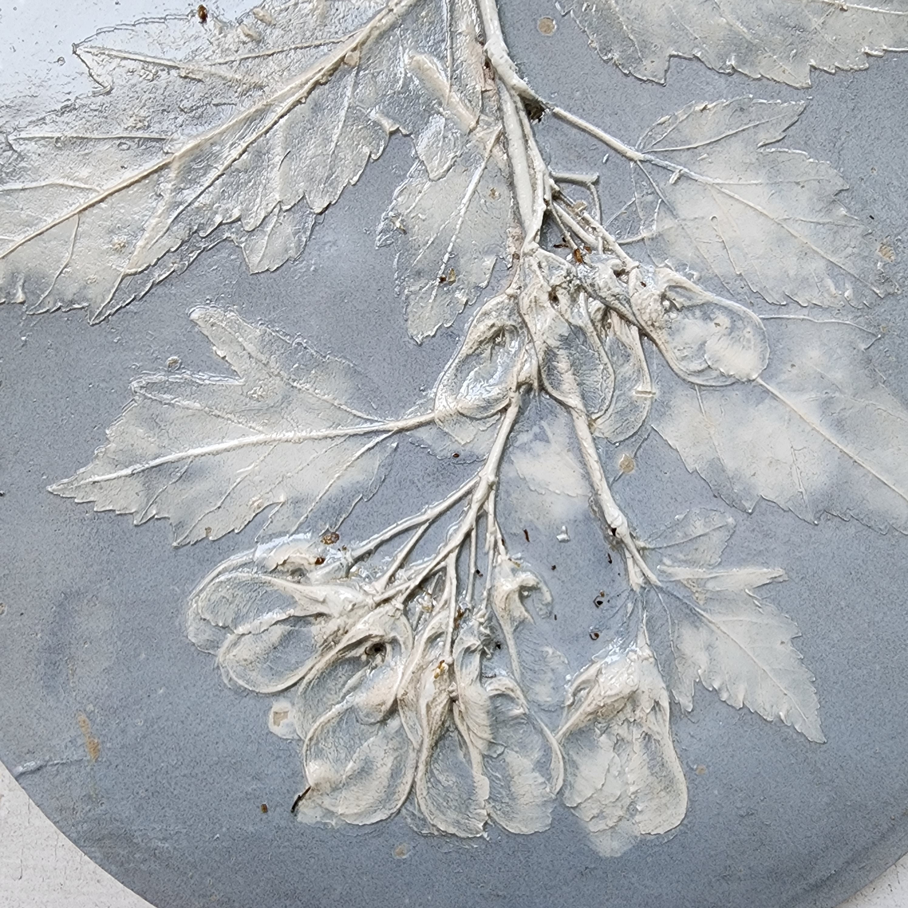 Plaster Botanical Bas Relief Artwork - Etsy