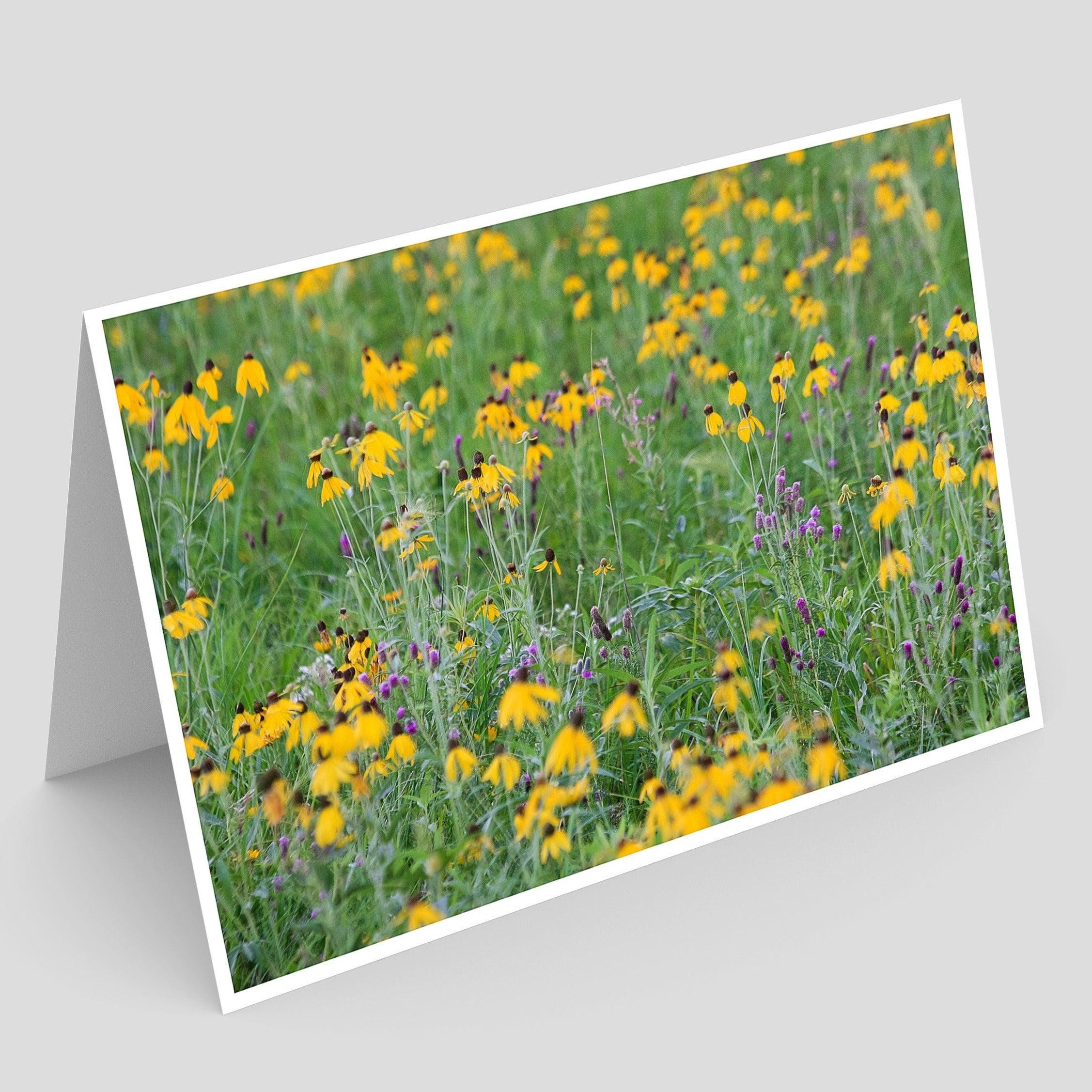 Kalsow Prairie State Preserve Greeting Card IMG_2513 - Etsy