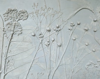 Botanical Plaster Cast, Cow Parsley, Hemlock, Wild Flowers, Gift ...