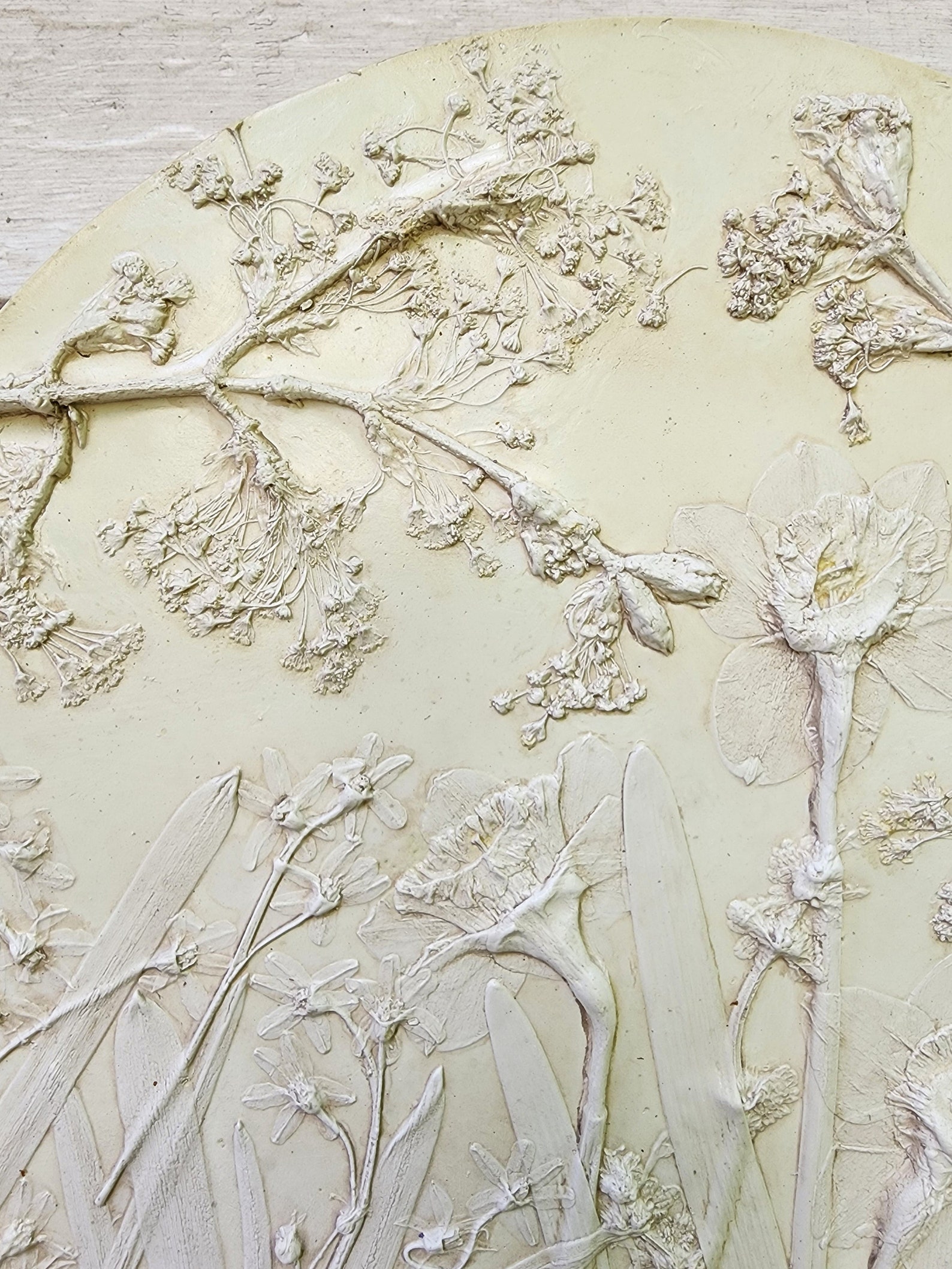 Plaster Botanical Bas Relief Artwork - Etsy