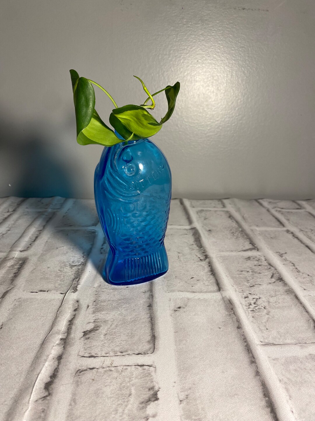 Vintage Fischs Bitters Aqua Blue Glass Repurposed Propogation Vessel ...