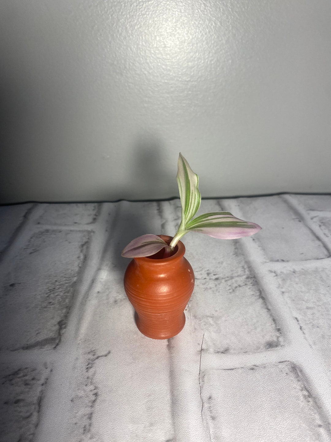 Vintage Rubiglo Powder Blush Repourposed Propogation Bottle and Mystery ...