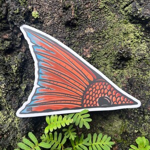 Redfish Tailing 5 Inch Sticker - Etsy