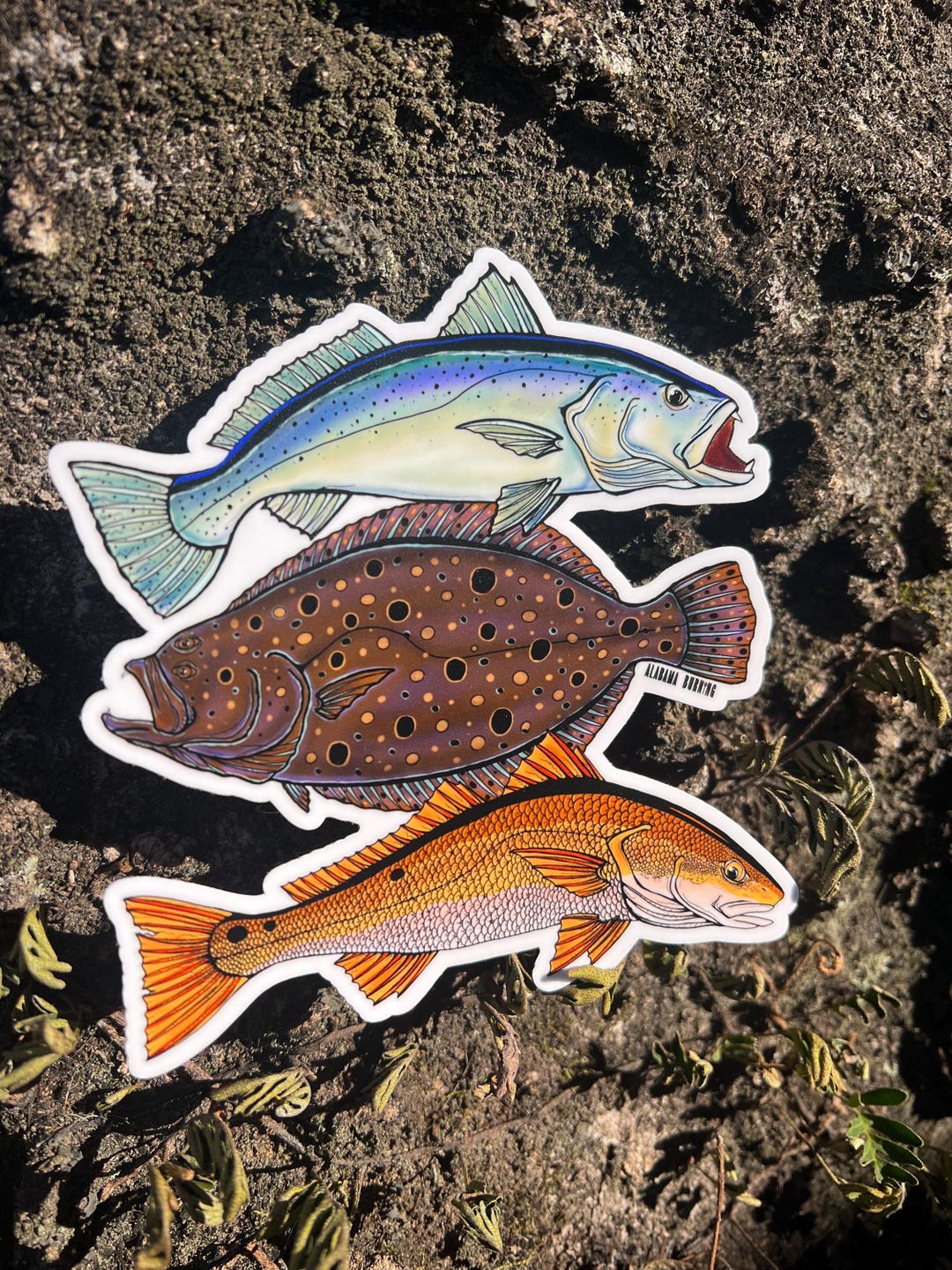 Inshore Slam 5 Inch Sticker - Etsy