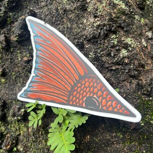 Redfish Tailing 5 Inch Sticker - Etsy