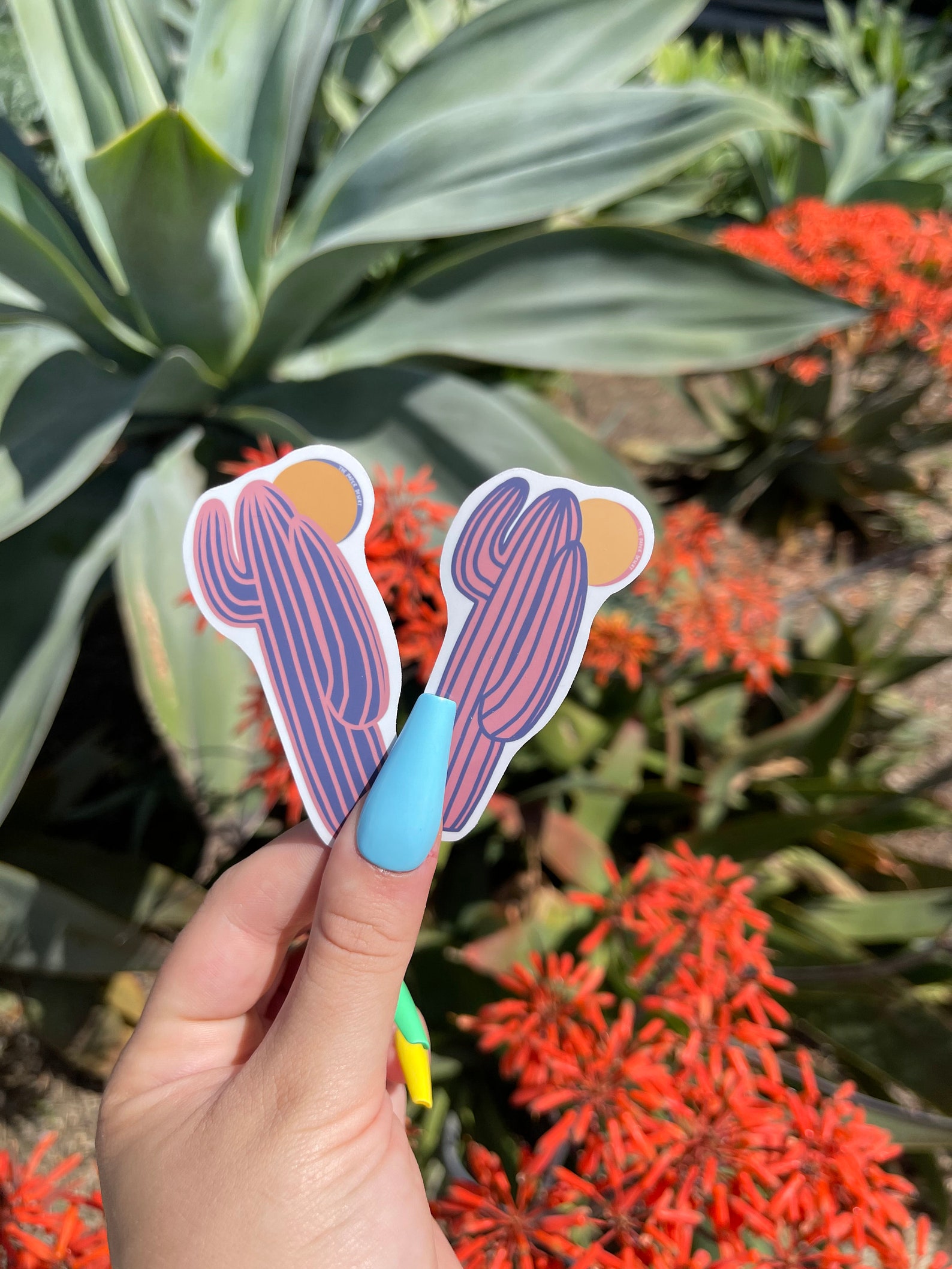 Colorful Cactus Sticker Saguaro Sticker Vinyl Die Cut - Etsy