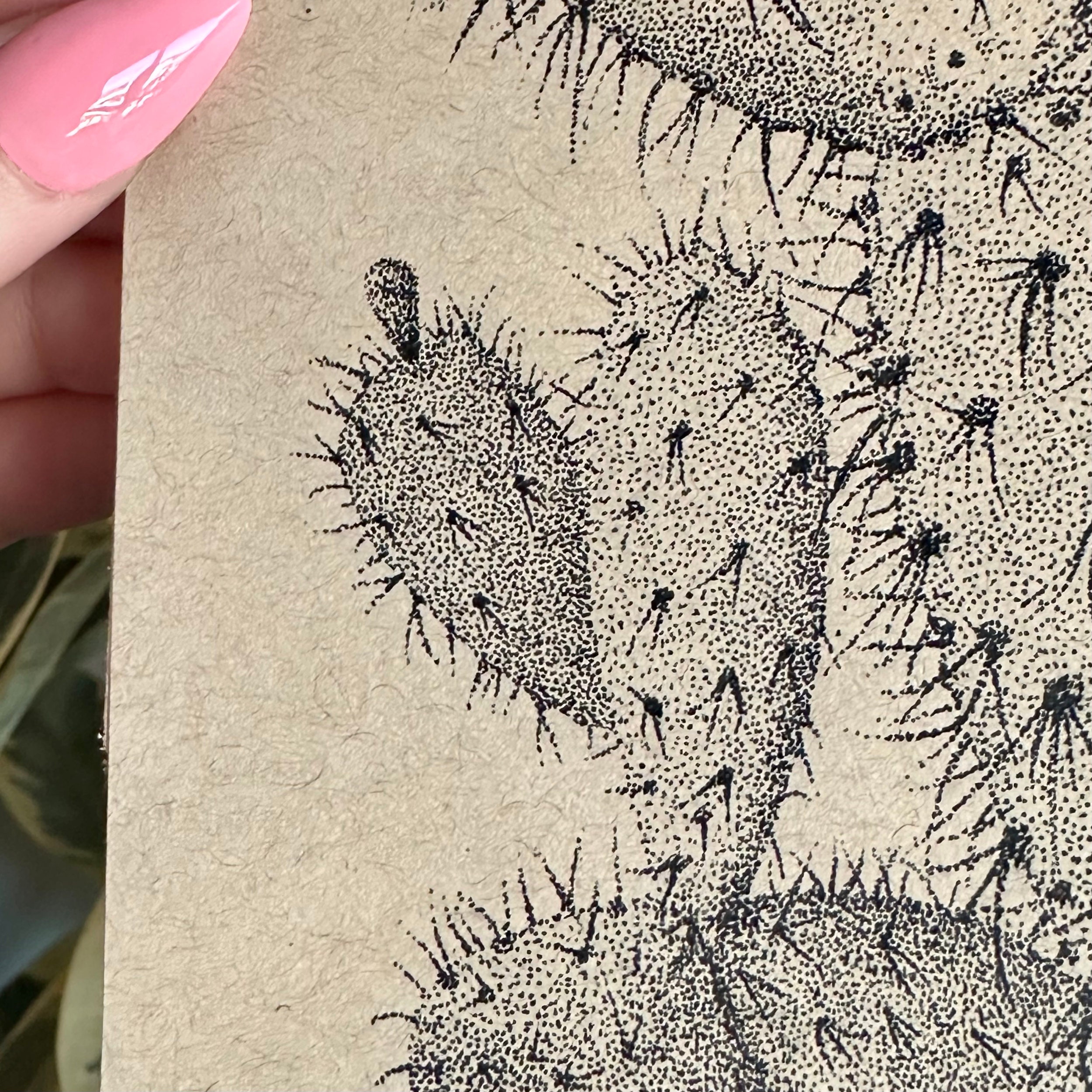 Original Prickly Pear Ink Drawing | Wall Decor - Etsy