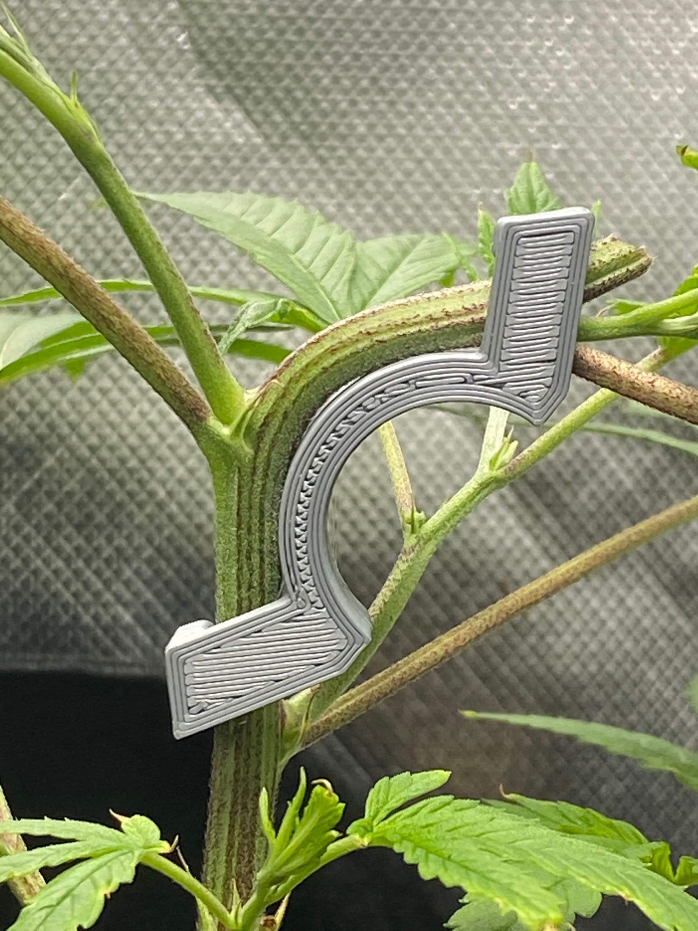 25ct Low Stress Training Clips LST 90 Degree Cannabis & - Etsy Australia